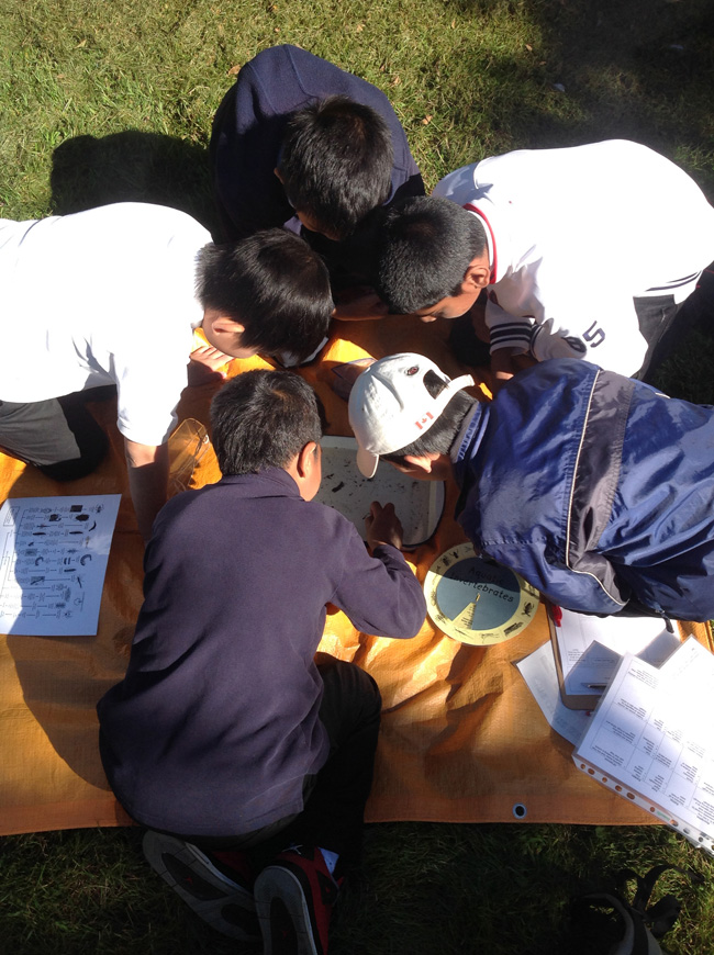 Measuring Biodiversity
