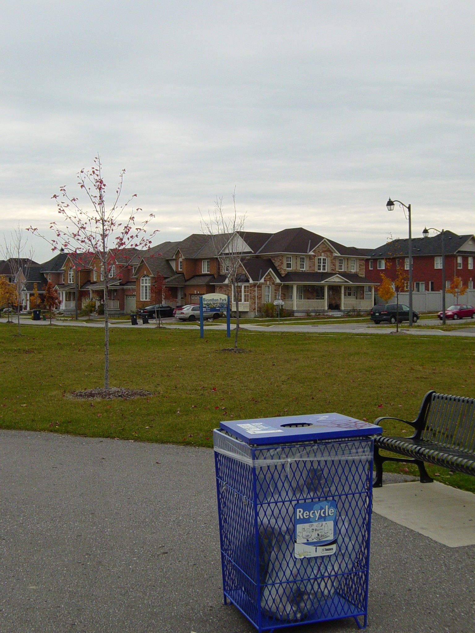 Thomas L Wells Public School > Eco-Schools Initiatives